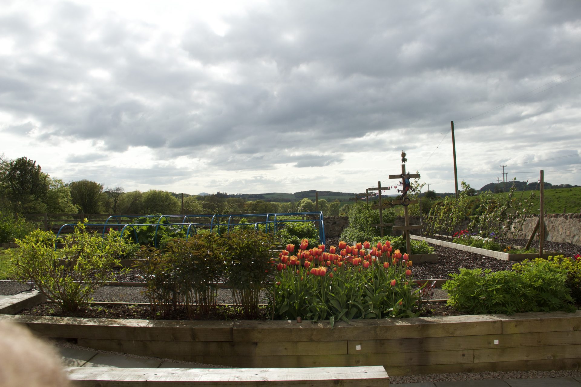 Relax and Unwind in Our Beautifully Designed Guest Rooms - Craighall ...
